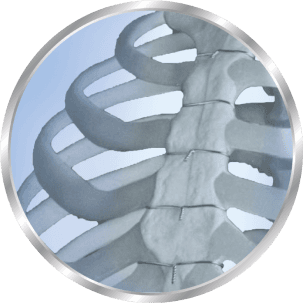 Advasteel CV Steel Suture | AMS Cardiac